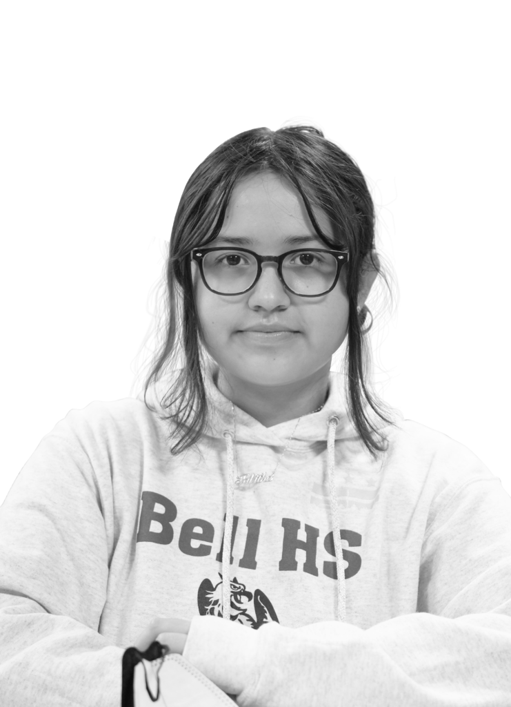 Mentoring CHEC – Vlogger Website